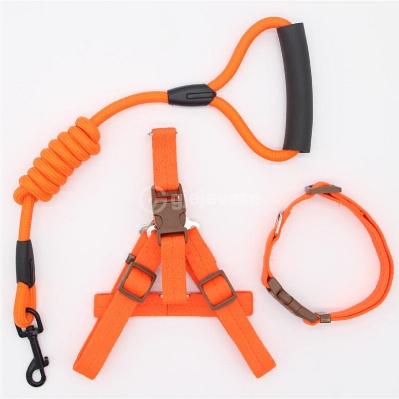 Litar drejtues per qen/mace - Gjejevete